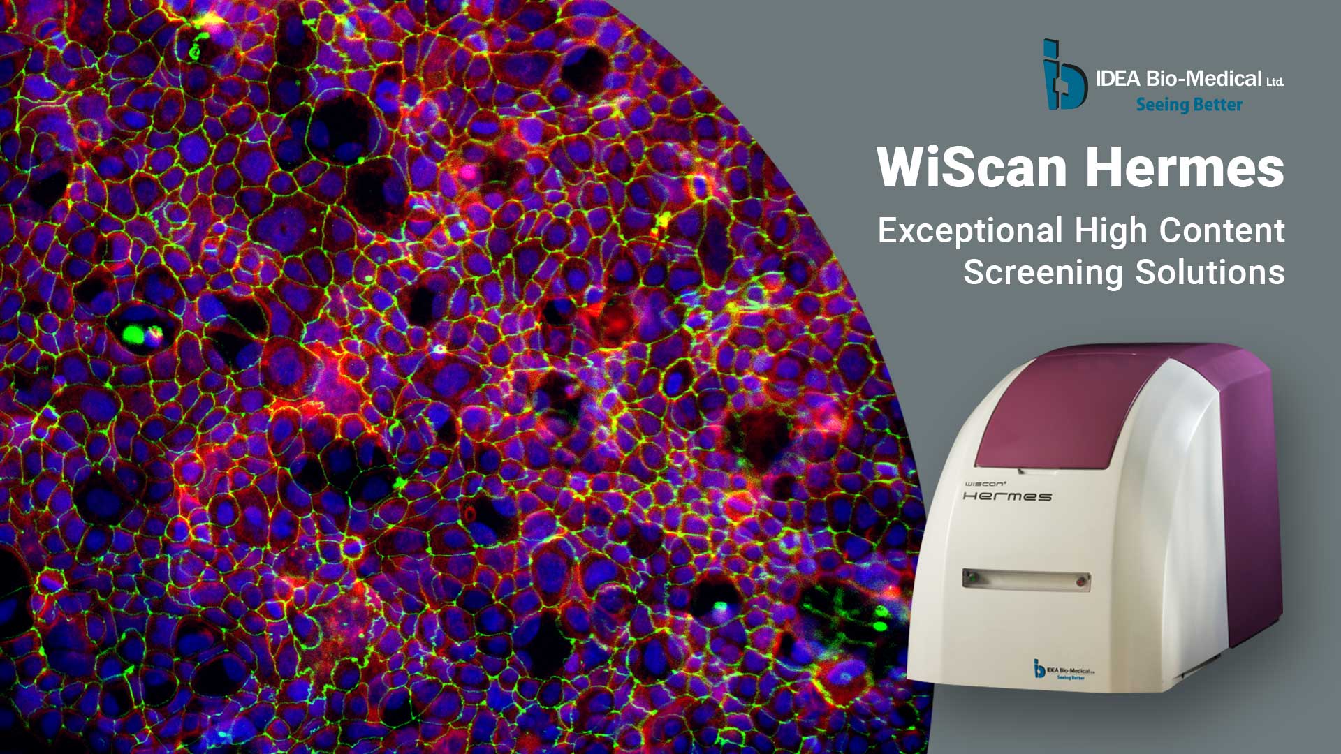 Automated Microscopy | Image Analysis Software | Products